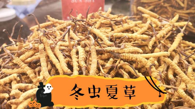 冬虫夏草到底有什么功效?不是所有人都适合食用