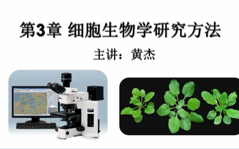 2.4 电子显微镜制样技术(生物竞赛)(考研)(新高考)