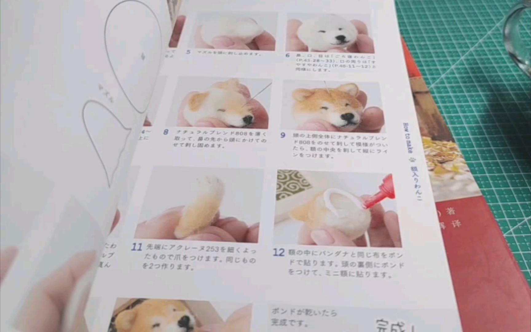 羊毛毡入门书籍分享。