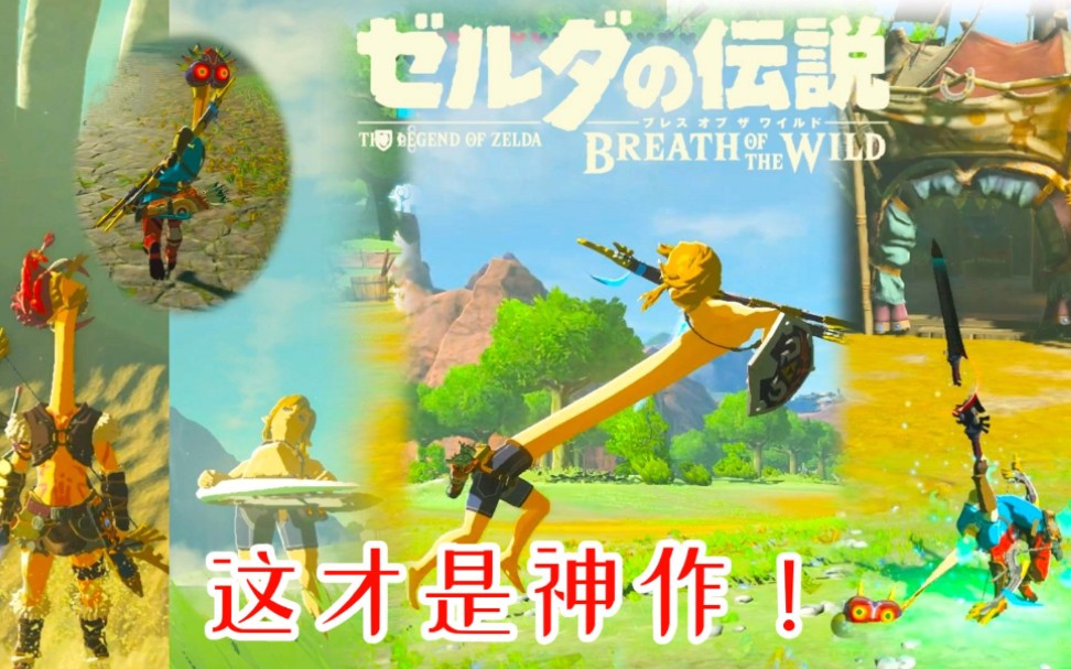 [塞尔达传说]你 不 对 劲!奇行种林克方法大揭秘!