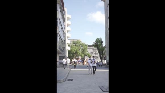 中职学校的选择