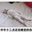 用户66656f0e 