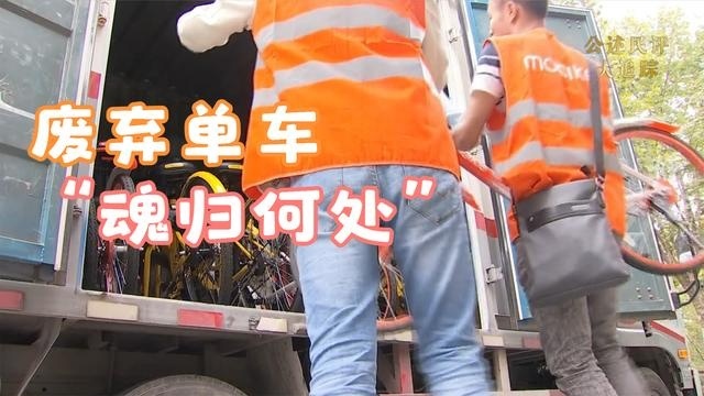 杭城共享单车总量多少?如何管理?废弃单车"魂归何处".