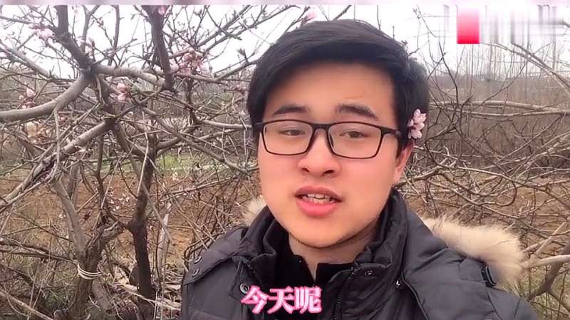 自媒体人必学:pr快速添加字幕,1分钟就能学会