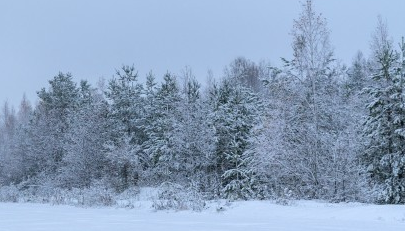 夏夏的旅行日记 