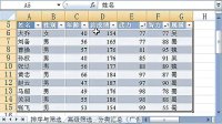 Excel2007视频教程:15、数据筛选和排序_1
