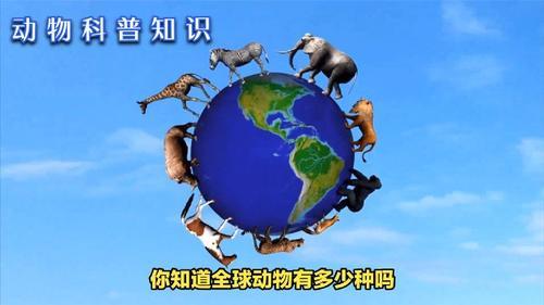 地球上的动物种类繁多,你知道全球动物有几何种吗?