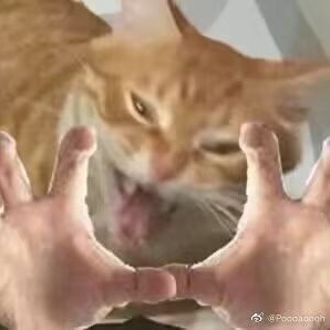 赴yuan 