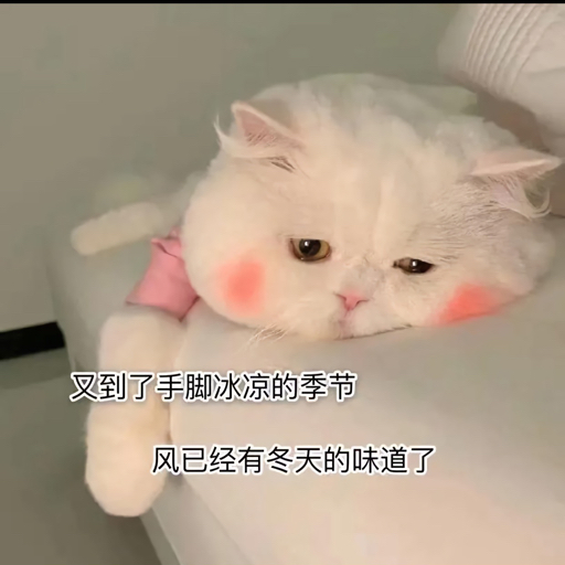 潘菇凉vlog 