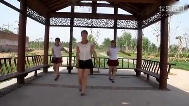 凤凰传奇广场舞最炫民族风 广场舞视频大全