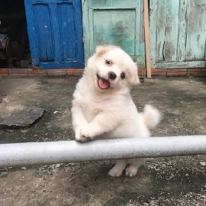 物理课上不fa水 