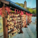 喜欢旅行的喵喵ing 