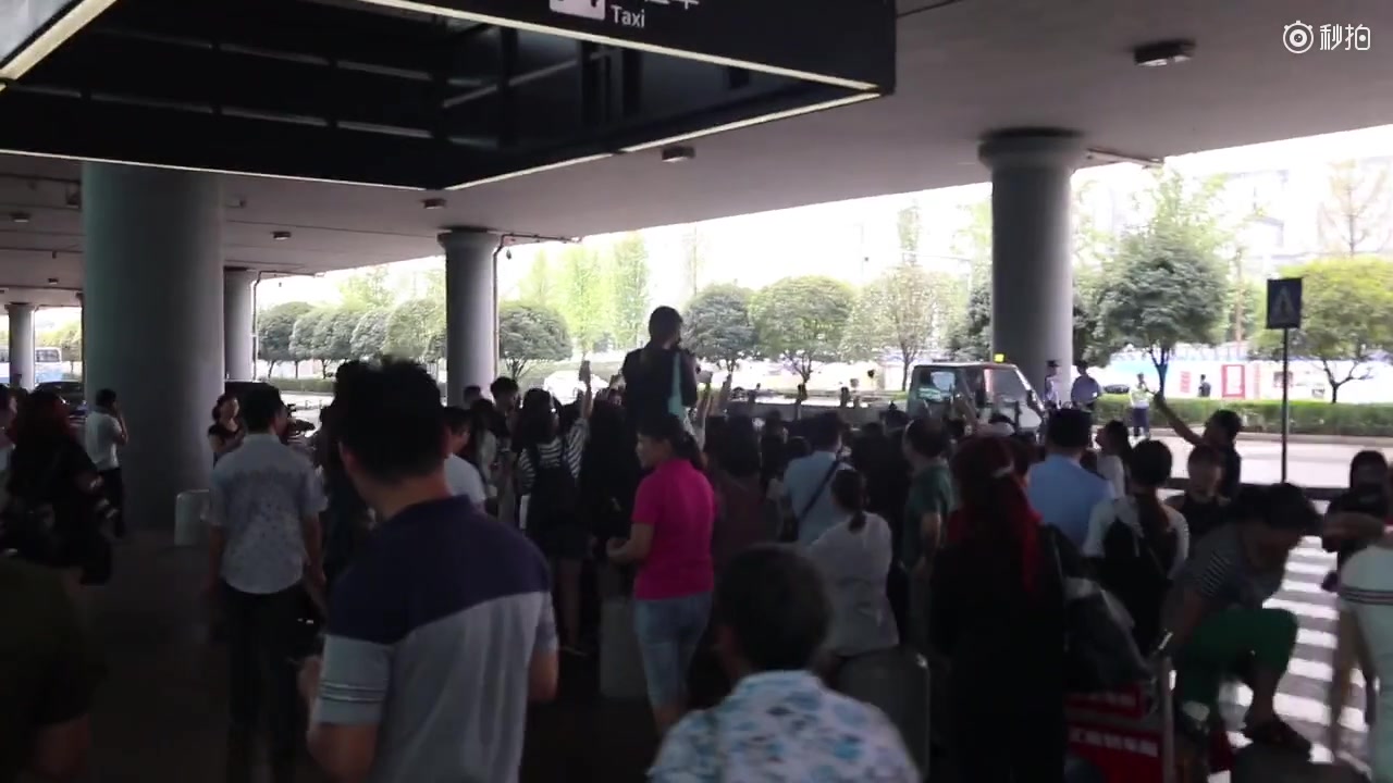 【TF家族】TF家族新生号台风来袭