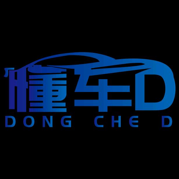 懂车大D撸车生活 