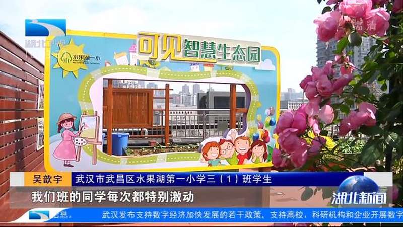 教育部发布义务教育劳动课程标准 9月起种菜做饭成为必修课