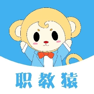 职教猿初级会计师 