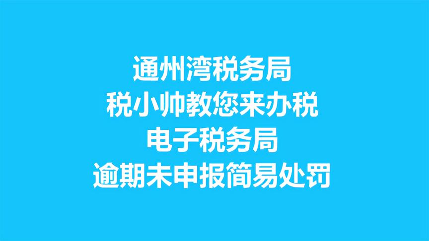 逾期未申报简易处罚(南通通州湾税务局)