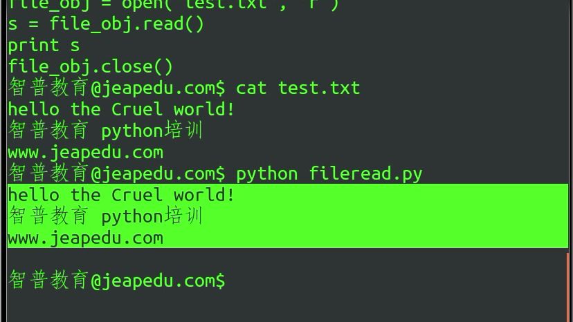 1001 Python文件基础