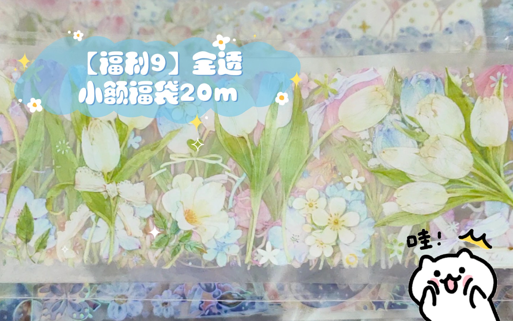 【福利9】全透小额福袋20m