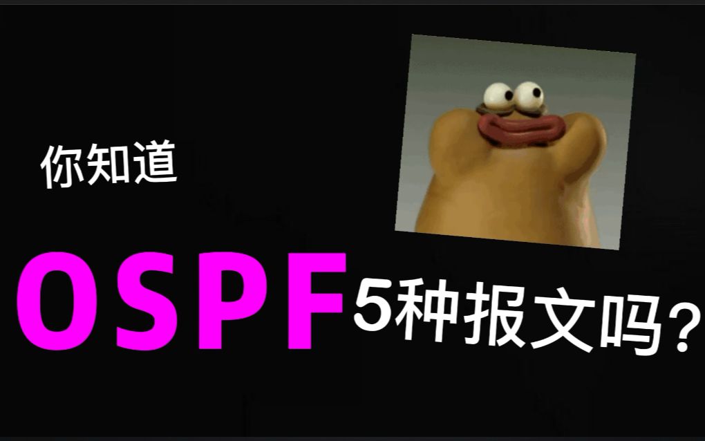【你肯定不知道】天天都在学的OSPF,它最重要的5种报文是这些!