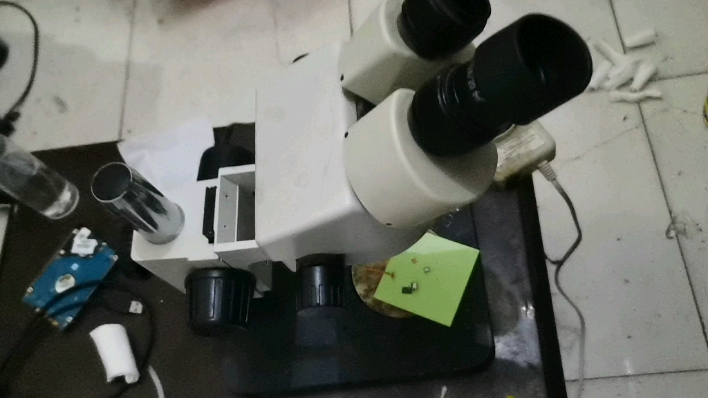 体式显微镜内部构造