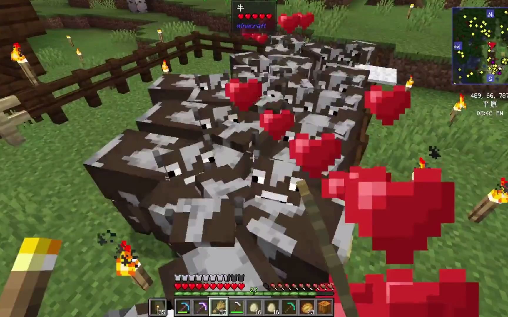 【Api/c酱/闻香/KB生肉片】太温柔了