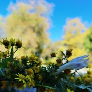 生活里的碎碎念 