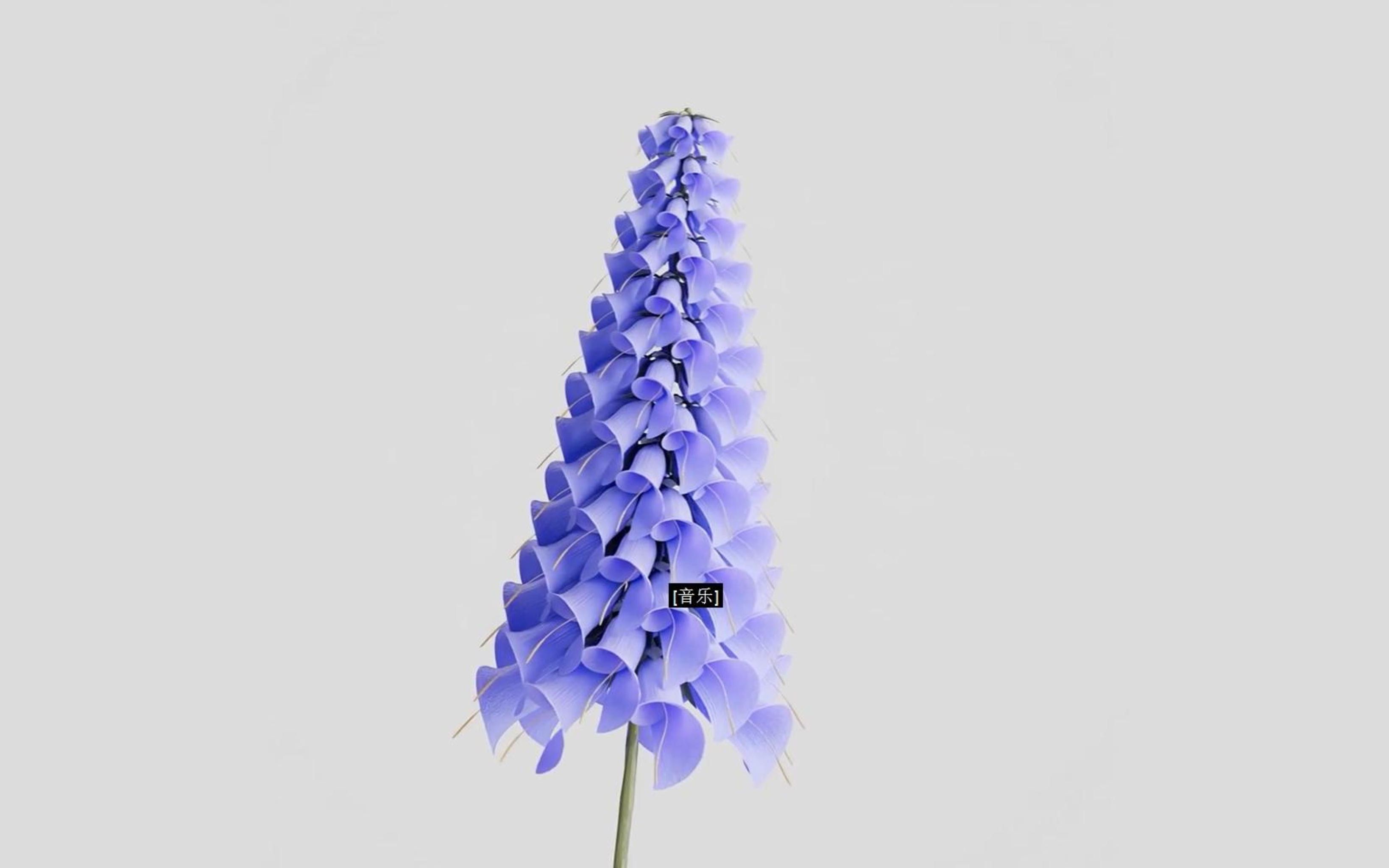C4D-动态唯美花朵绽放02(运动样条、样条约束、克隆、布料曲面、锥...