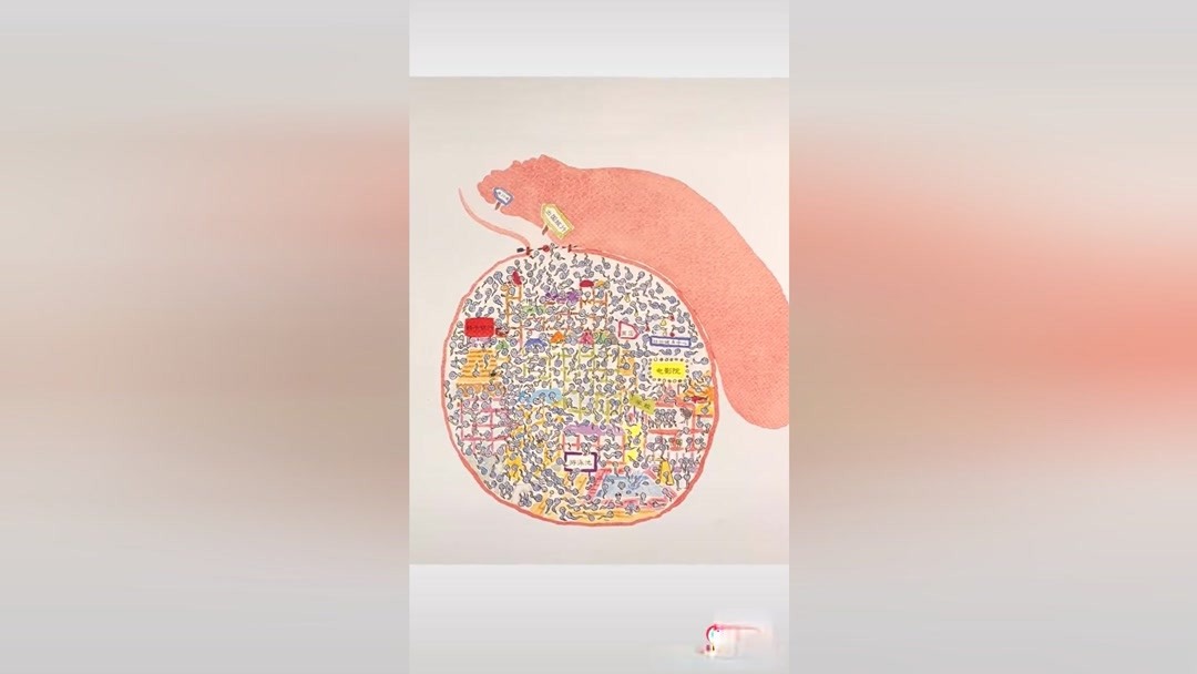 你知道宝宝是怎么出生的吗 #绘本