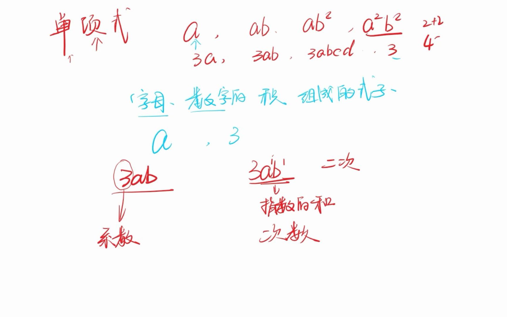 代数课:单项式与多项式