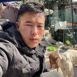 小徐与狗狗的大山生活 