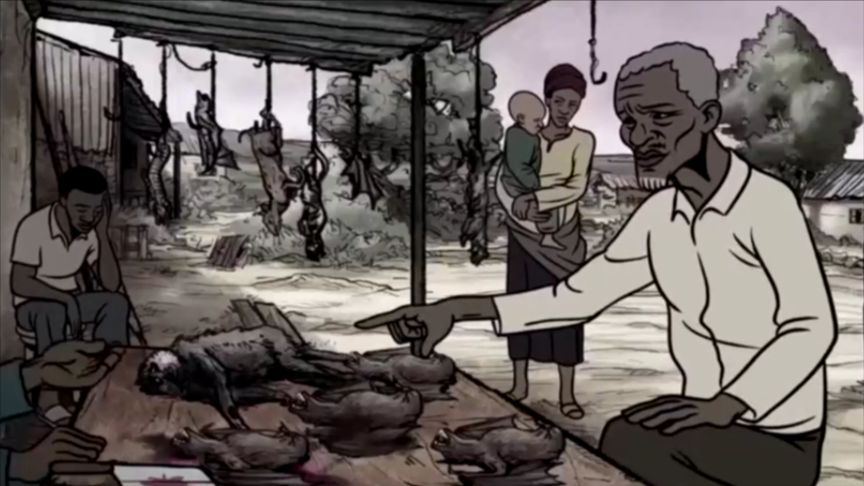 影视:爷爷嘴馋吃蝙蝠肉,一人传染一村,科普动画《埃博拉病毒》