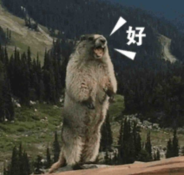 linlin林林林林1222 