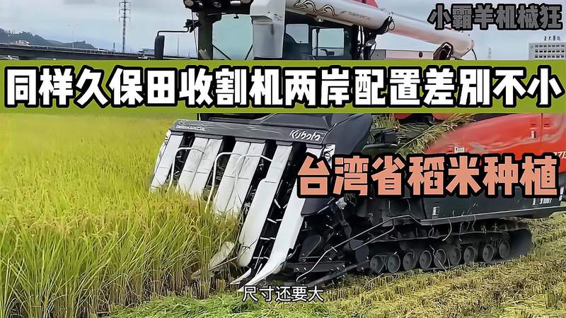 台湾省稻米种植加工全过程,跟咱们比你觉得到底谁更能胜一筹?