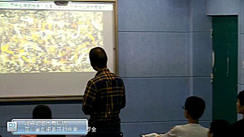 2. 线条的艺术表现力_第二课时(四川省县级优课)_罗全_K21492_...