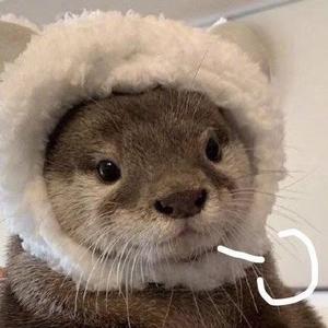 大姚今天又咋了 