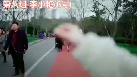 春天是新生命的开始#樱花