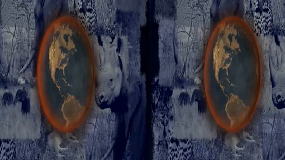 3D电影演示片左右格式