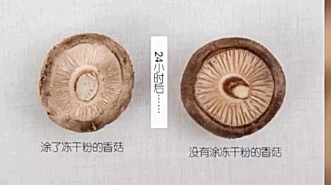 用完一次朋友的植物医生冻干粉,我才知道冻干粉的作用还可以护肤