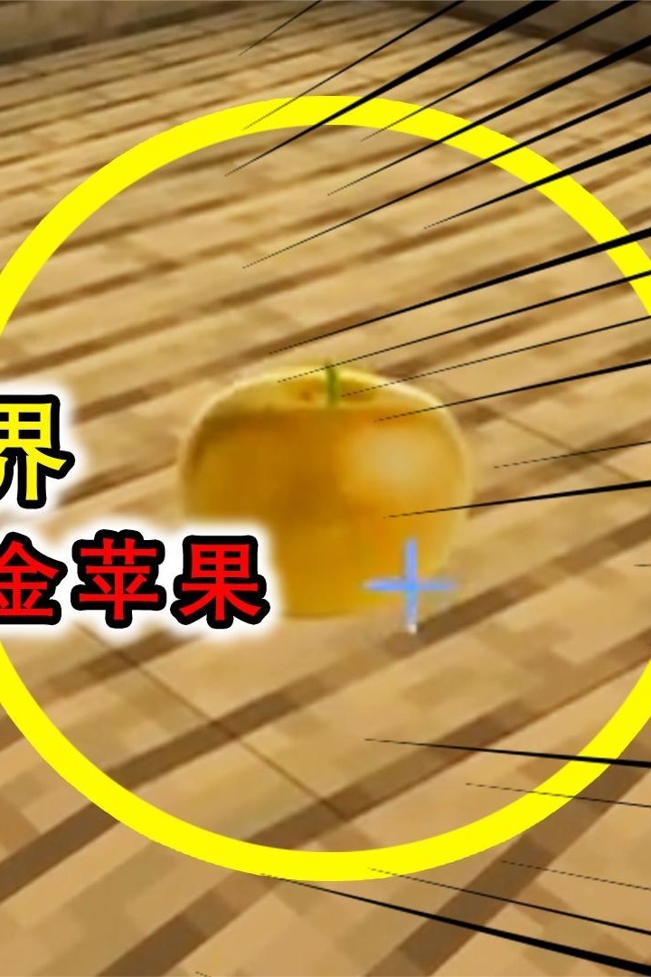 我的世界:玩家用4K模板,合出金苹果,结果吃后亏的要死
