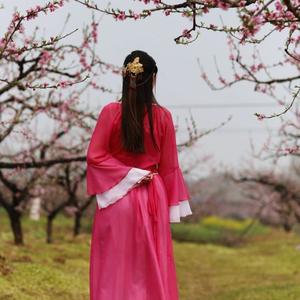 薰衣草的故事恋情 