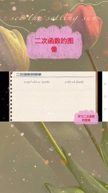 让我们一起来学习一下二次函数的图像吧