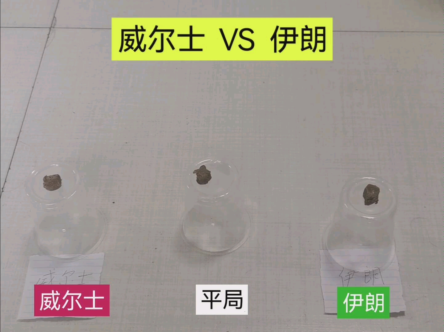 威尔士VS伊朗 蛋黄杯预测