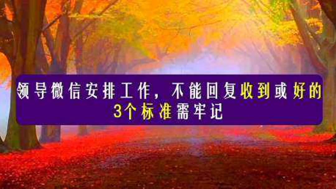 领导微信安排工作,不应回复“收到”或“好的”,3个标准需牢记