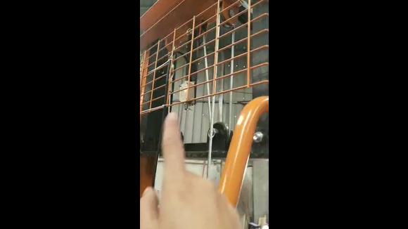 升高2.5米电动叉车,带限位器