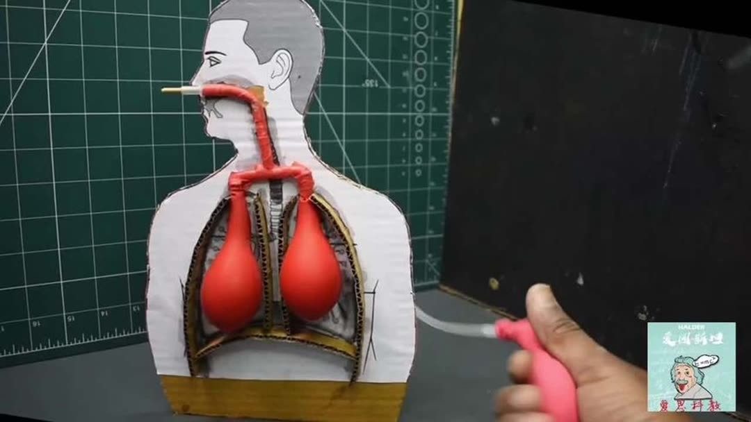 8_如何制作肺部呼吸模型#用废品制作创意手工 #我爱发明我爱制作