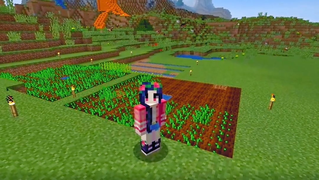 我的世界:开始种地啦!在不种地真的要饿死了!