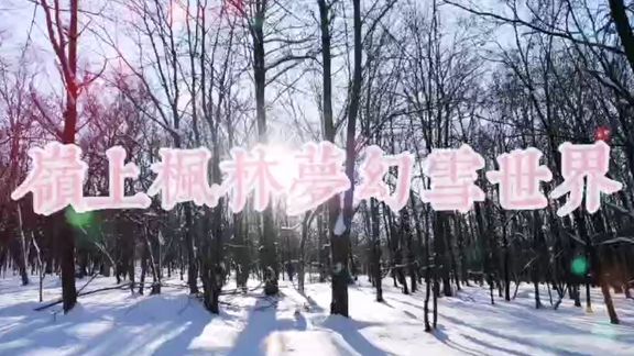 白雪公主与七个小矮人