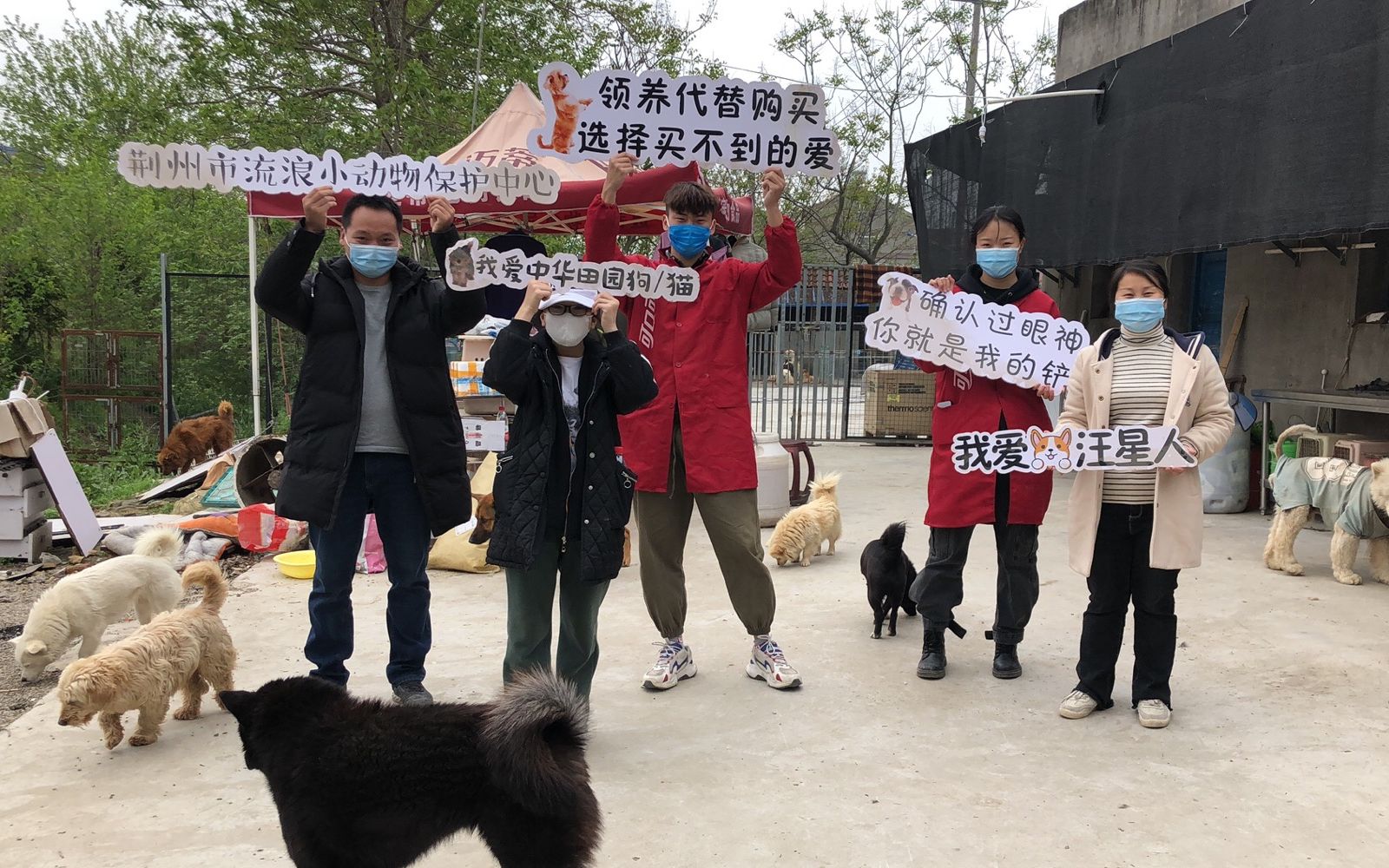 一吨的爱心好狗粮再次抵达基地,这次帮忙的志愿者很不少哦,太给力啦!