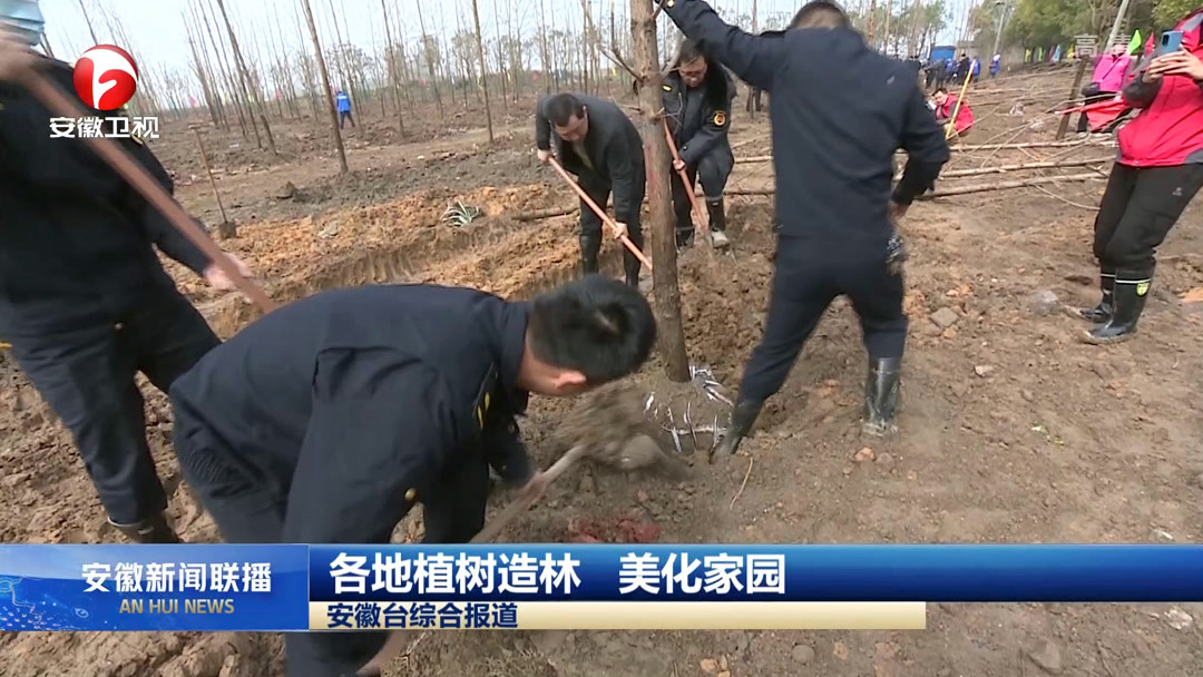 各地植树造林 美化家园